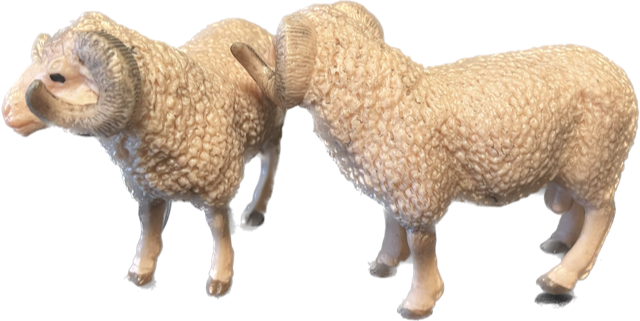 Sheep - Merino Ram - Country Toys – Country Toys Australia