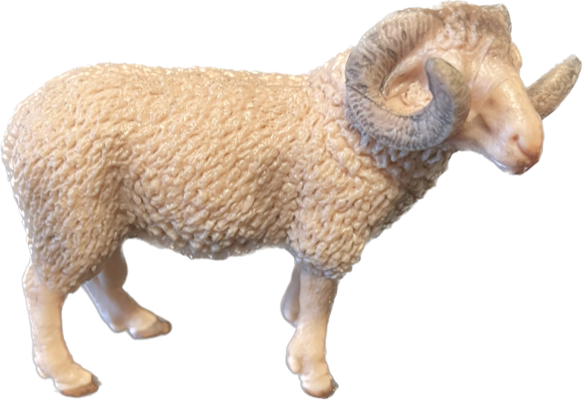 Sheep - Merino Ram - Country Toys – Country Toys Australia