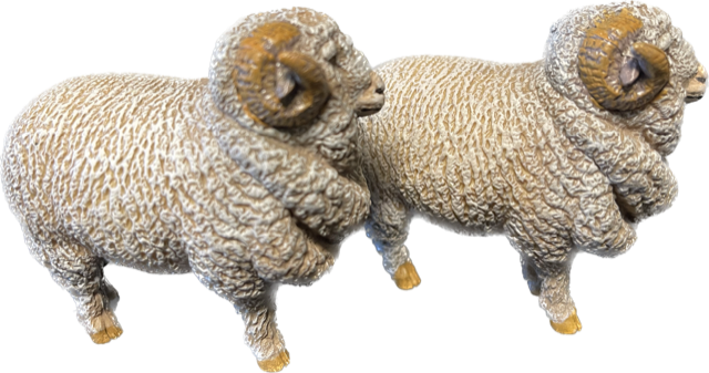 Sheep - Merino Stud Ram - Country Toys – Country Toys Australia