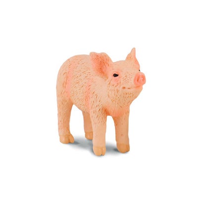Pigs - Piglet Smelling - Collecta – Country Toys Australia
