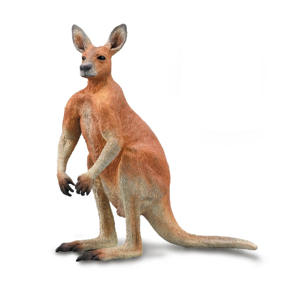 Wildlife - Red Kangaroo - Collecta – Country Toys Australia